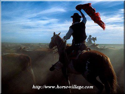 Cheval de Ranch Argentin