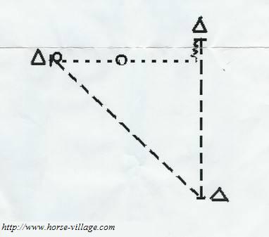 Patterns de Showmanship at halter