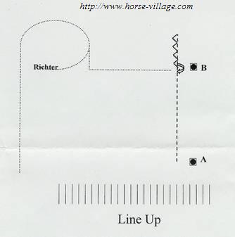 Patterns de Showmanship at halter