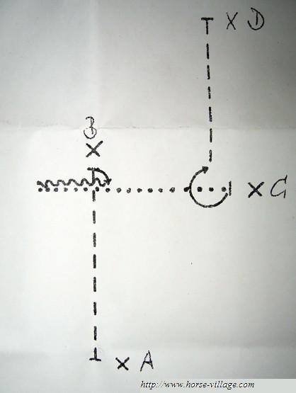 Patterns de Showmanship at halter