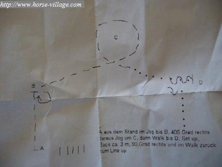 Patterns de Showmanship at halter